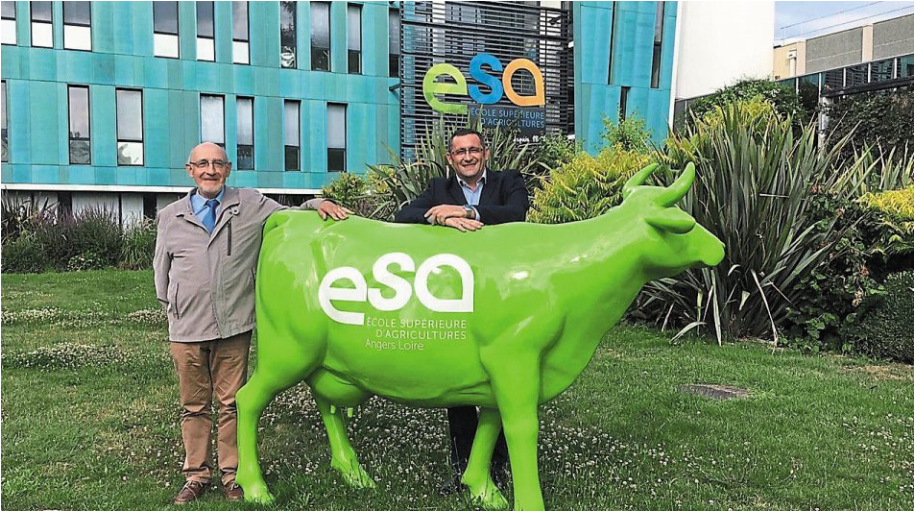 « Nos partenariats sont une vraie force » - Bienvenue sur le blog de l ...